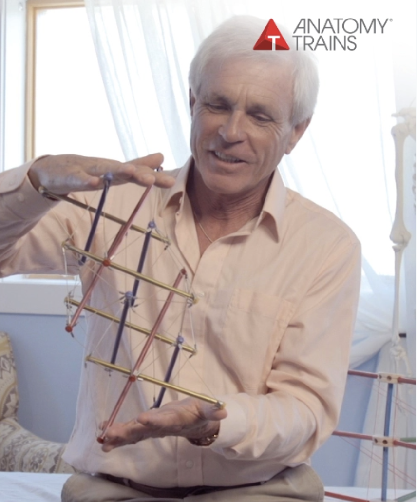 Unwinding the Spine - Anatomy Trains - Tom Myers - NLP.lib